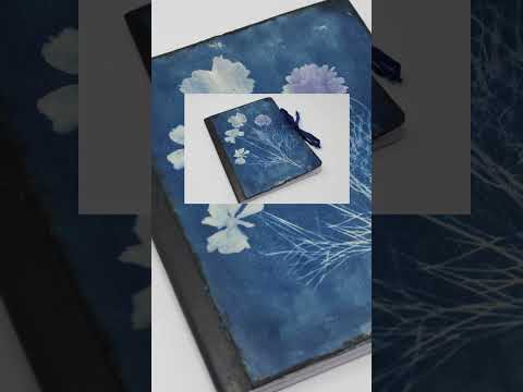 #short 6 Altered Composition Notebooks