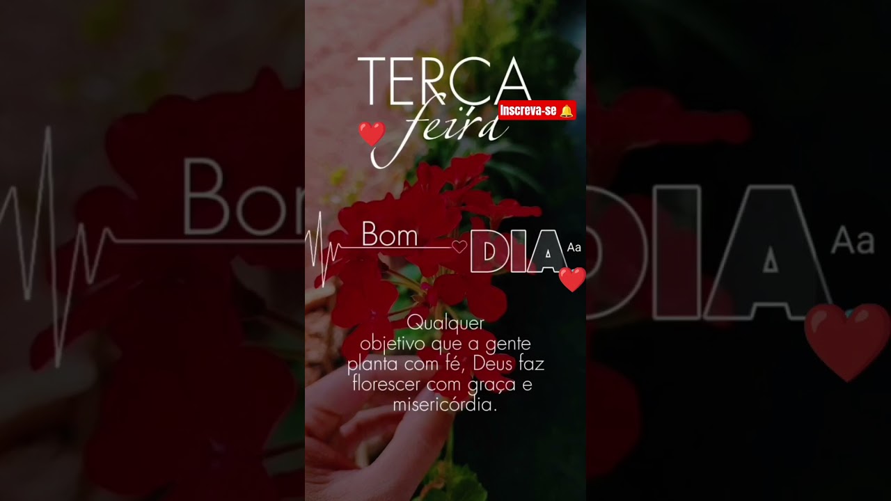 MENSAGEM DE BOM DIA TERÇA -FEIRA ABENÇOADA 🙌 PRA GLÓRIA DO NOSSO SENHOR JESUS CRISTO ✨🙌🙏