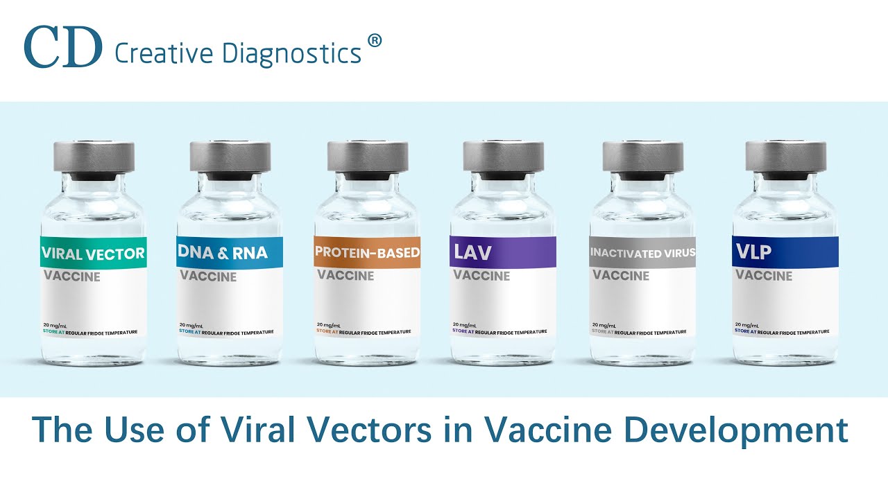 The Use of Viral Vectors in Vaccine Development
