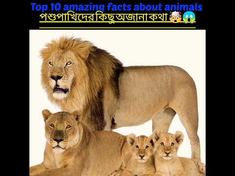 Top 10 amazing facts about animals | bangla fact | random facts | #shorts #short #animals #bengali