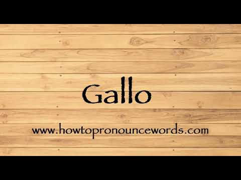 How To Pronounce Gallo ? How To say Gallo New Video