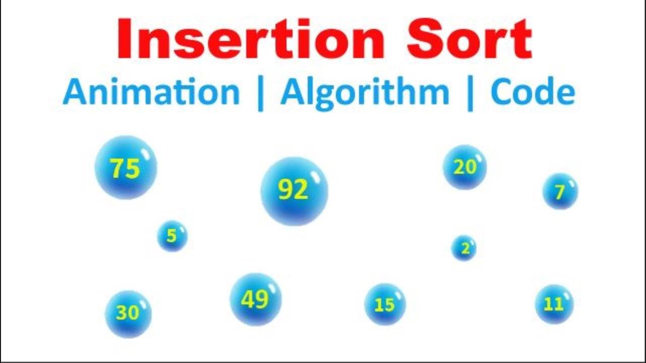 Insertion Sort Animation |  Algorithm | Code