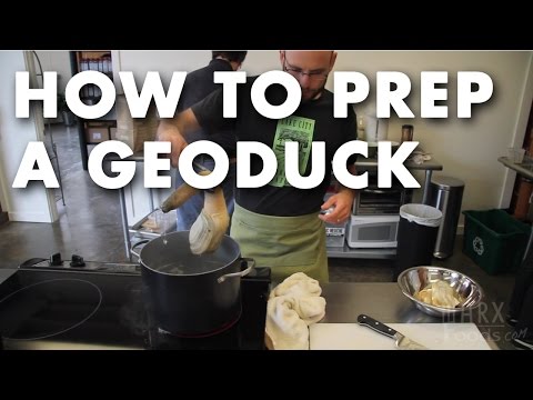How to Prep a Geoduck for Cooking Tutorial Video