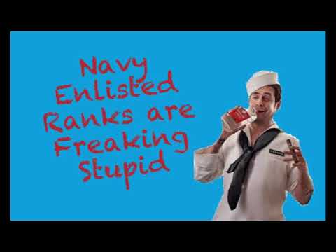 Navy Enlisted Ranks are Stupid !!