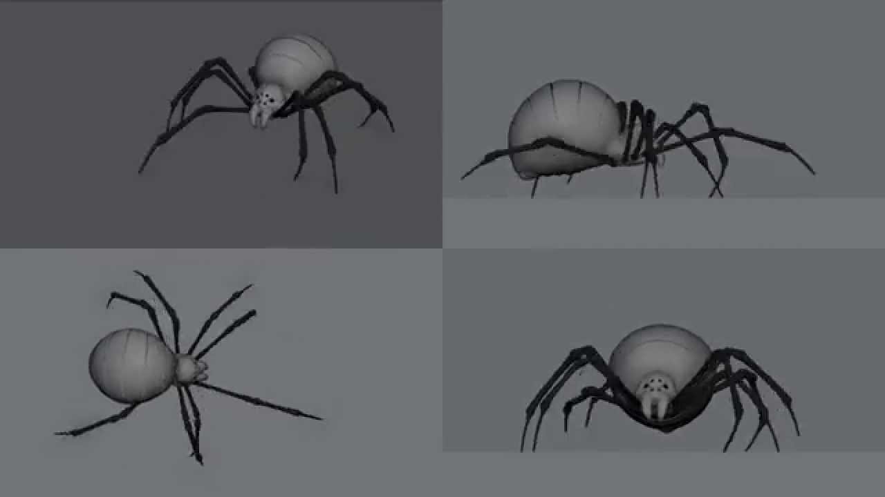 Spider Walk Cycle - Final (4 views)