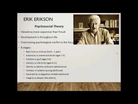 Human Development Theorists