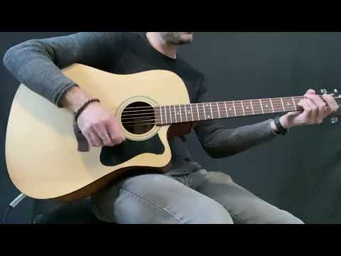 Ibanez Dreadnought V40CE OPN acoustic guitar
