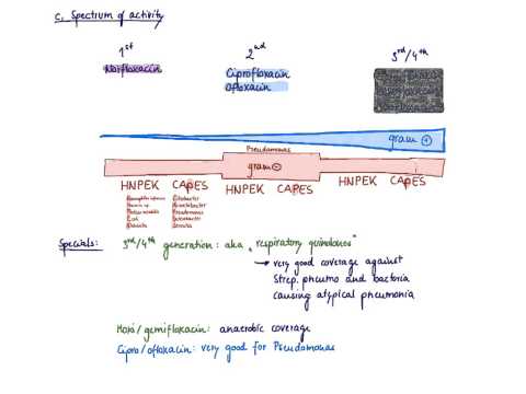 Brandl's Basics: Inhibitors of DNA replication - The Quinolones