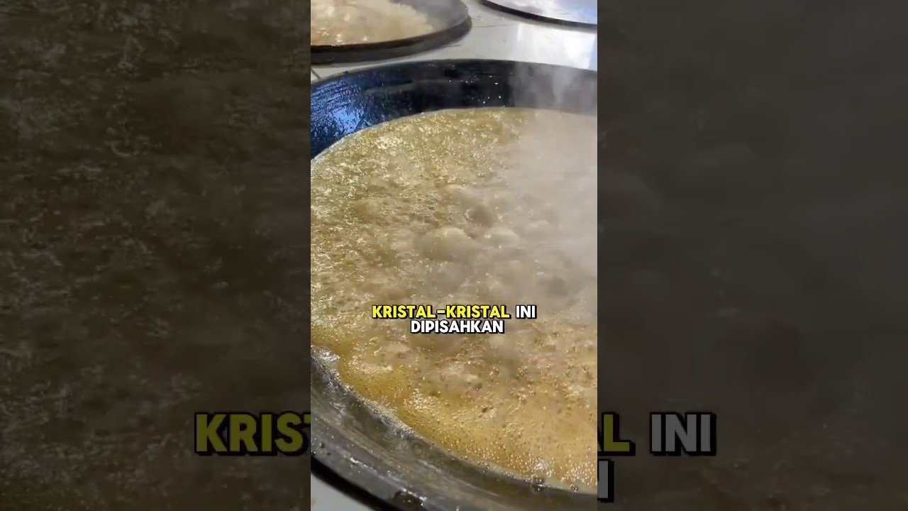 Rahasia di balik gula pasir yang kamu konsumsi setiap hari ! #gulapasir #proses