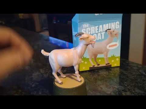 The Screaming Goat