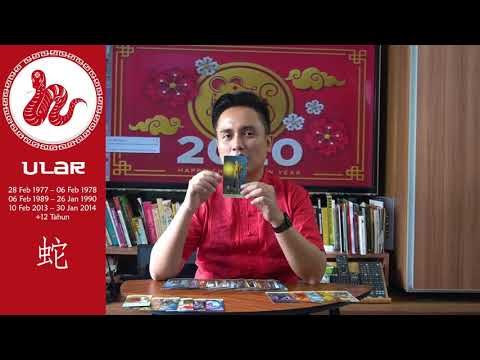 PERUNTUNGAN 12 SHIO DI TAHUN 2020 (TAHUN CINA 2571), KENALI SHIOMU DAN DENGARKAN BAIK-BAIK!