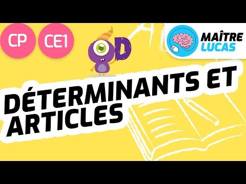 Déterminants et articles CP - Cycle 2 - Français : Etude de la langue - FLE