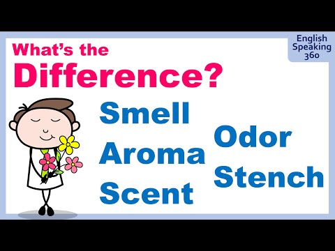 Smell Aroma Scent Odor Stench / What's the difference?