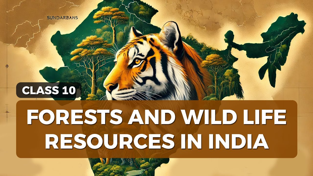 🌳 Forests and Wildlife Resources | NCERT Class 10 Geography 🐅🌿
