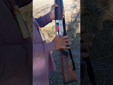 Hunting with Mavaric shotgun 12 gauge Turkey made | Best Turkish made shotgun 12 gauge for hunting