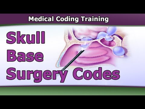 CPT Coding Guidelines — Skull Base Surgery Codes