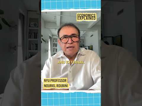 Unsustainable Borrowing in the USA? | Interview with Nouriel Roubini