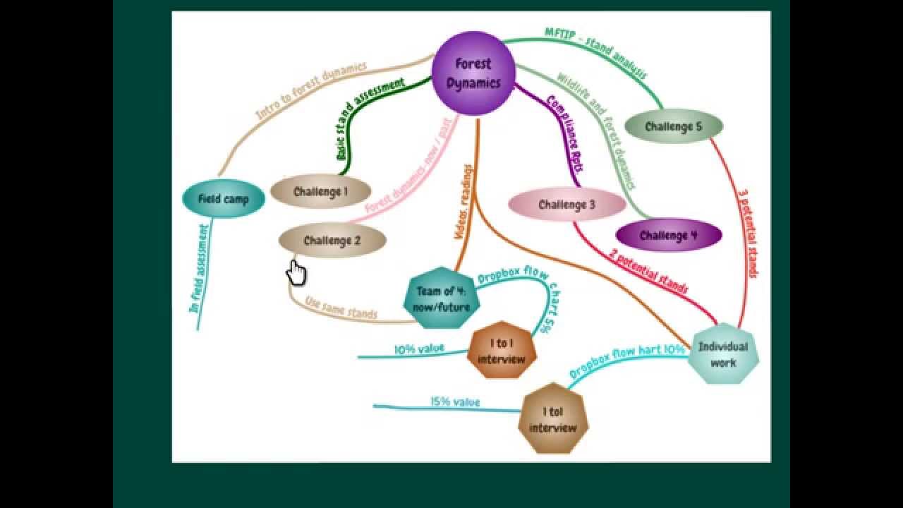 forest dynamics evaluation
