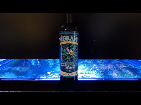 Does Vibrant Reef Aquarium Cleaner Work? - Algae Eating Bacteria - Roma Aquatics 🆒