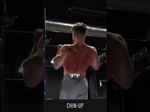 Neutral Grip pull-ups are better than Chin Ups #pullups #backday #backexercise #calisthenics #lats