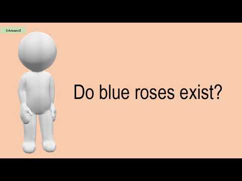 Do Blue Roses Exist?