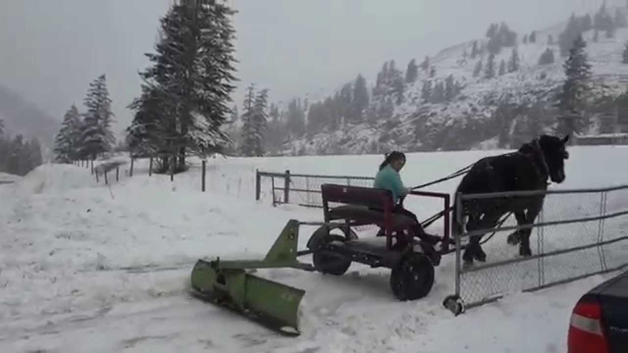 Foggy Mountain Snow Horse Plowing