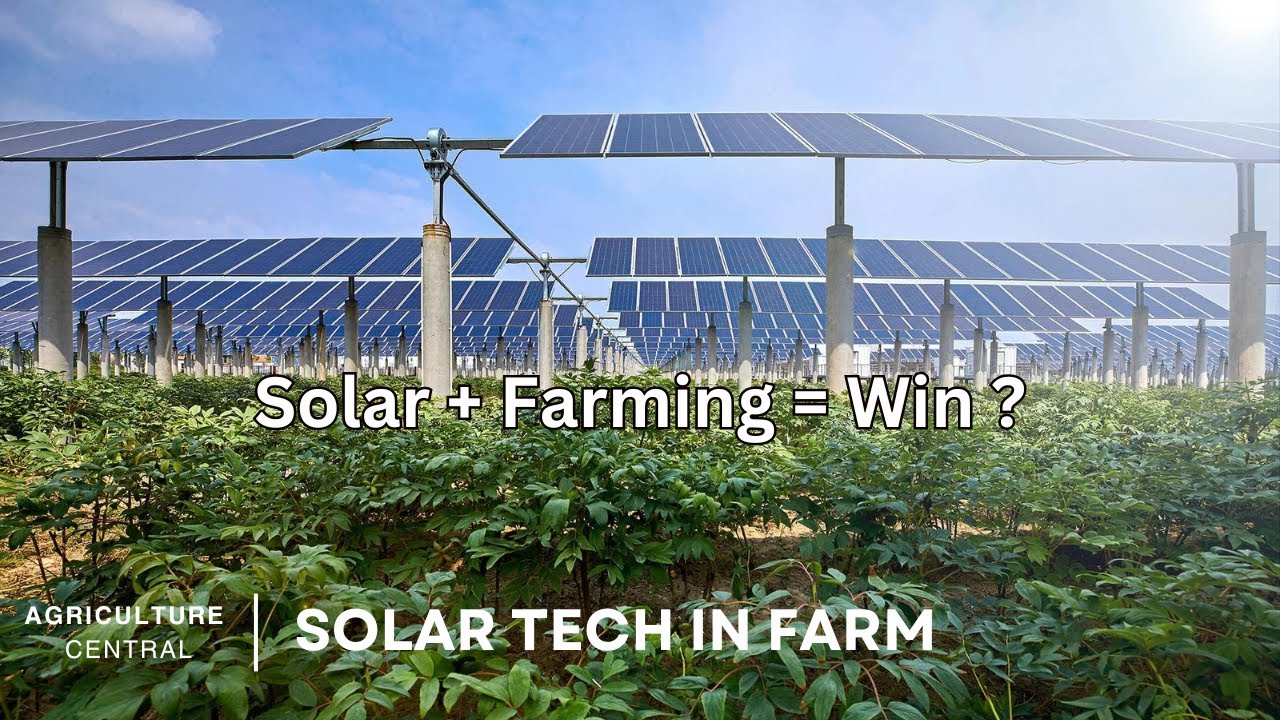 10 Ways to Harness Solar Technology in Agriculture | Solar Farming Revolution