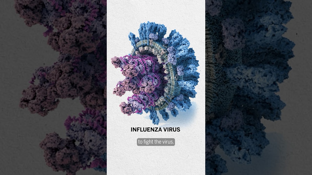 New flu preventative could outperform vaccines