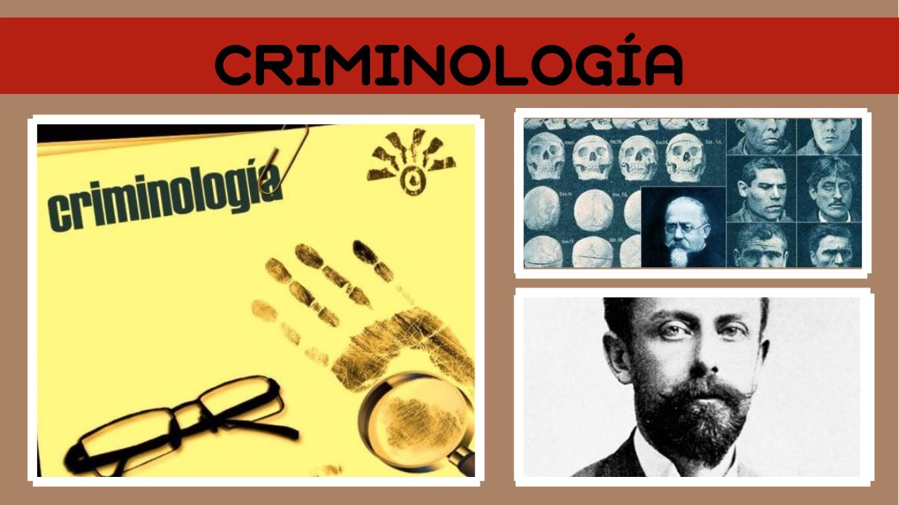 Understanding Criminology: Definitions, Importance, and Functions ...