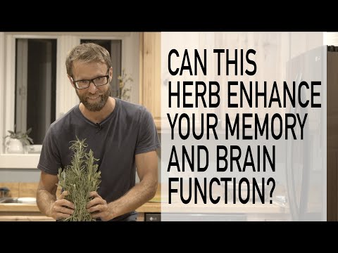 Does the Herb Rosemary Enhance Memory and Brain Function?