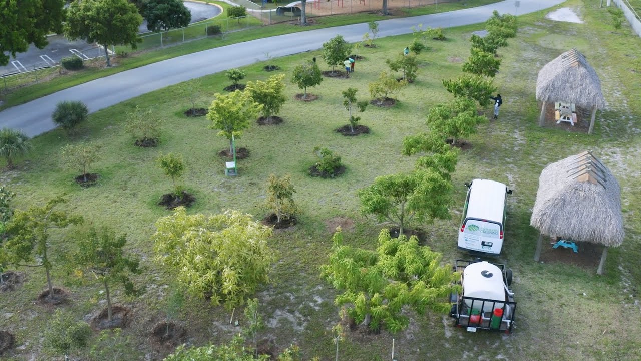 What is Community Greening?