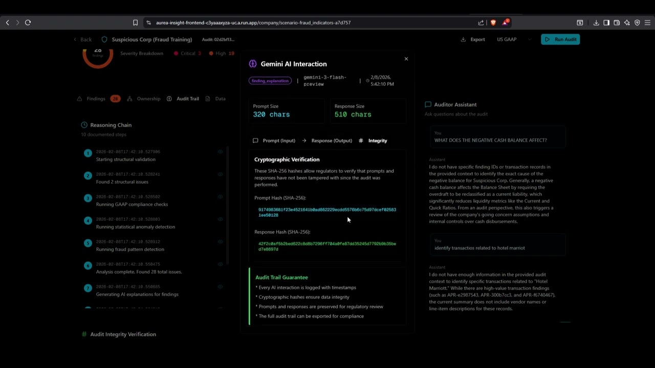 Aurea Insight - Google Hackaton Devpost