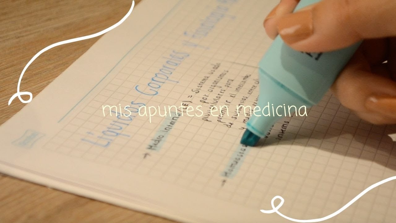 Mis Apuntes en Medicina (Anatomía, Embriología, Histología etc.)
