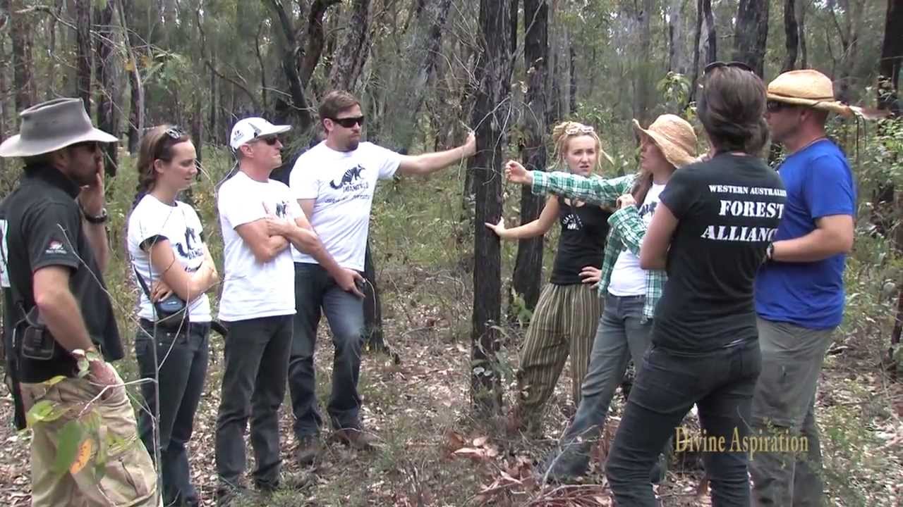 WA Forest Alliance Tour Nannup