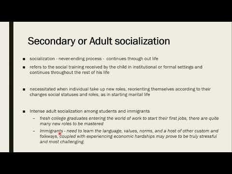 Secondary and adult socialization in Urdu and English with Examples
