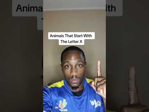 Animals That Start With The Letter X😯 #animals #interesting #viral #shorts #xyzbca