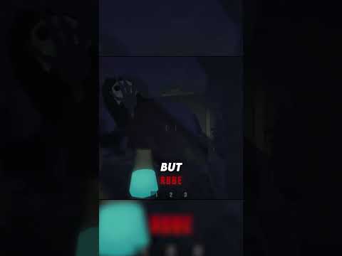 R.E.P.O The Robe Explained