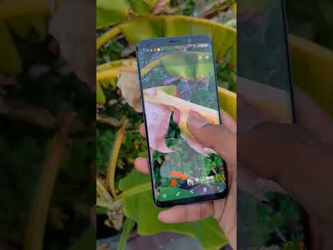 Galaxy S9 Camera test | Display Quality???? #shorts #trendingshorts #youtubeshorts #galaxys9