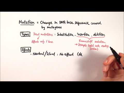 A2 Biology - Types of mutations (OCR A Chapter 19.1)
