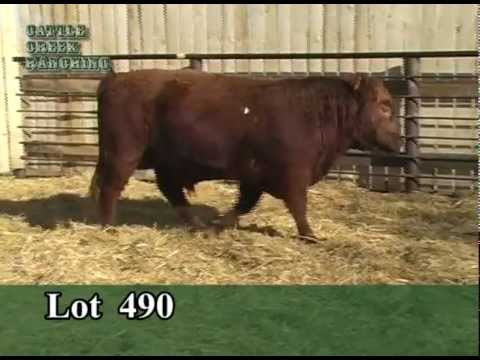 Lot 490 Cattle Creek 2012
