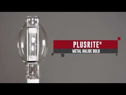 Metal Halide Bulb | Plusrite Spotlight