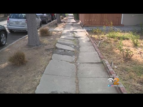 LA Increases Rebates For Property Owners Who Fix Sidewalks
