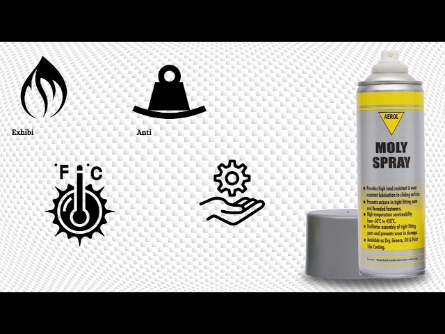 Maintenance Products - Lubricants - Aerol Moly Spray, Grade 2010 (300g ...