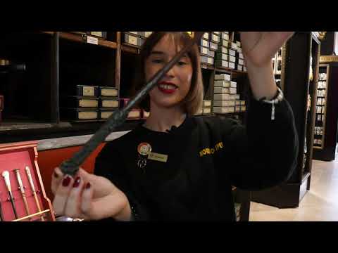 Harry Potter Wand in Ollivanders Box at House of Spells