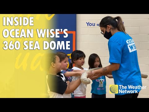 Look inside Ocean Wise’s 360 Sea Dome