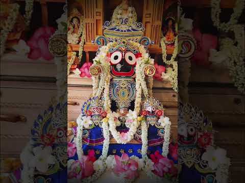 New odia Jagannath Bhajan status//odia bhajan status video//#jagannthbhajan #youtube #videos