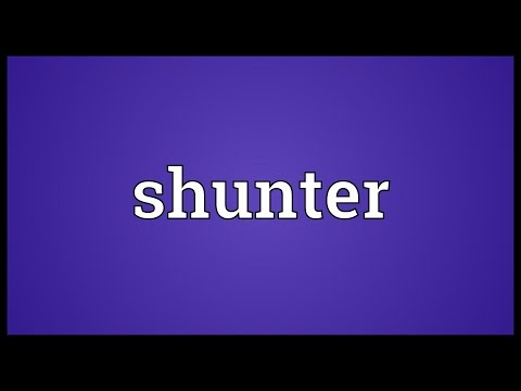 Shunter Meaning