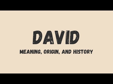 What is the meaning of the name David , name origin, and history