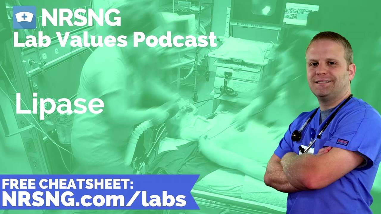 Lipase Nursing Considerations, Normal Range, Nursing Care, Lab Values Nursing