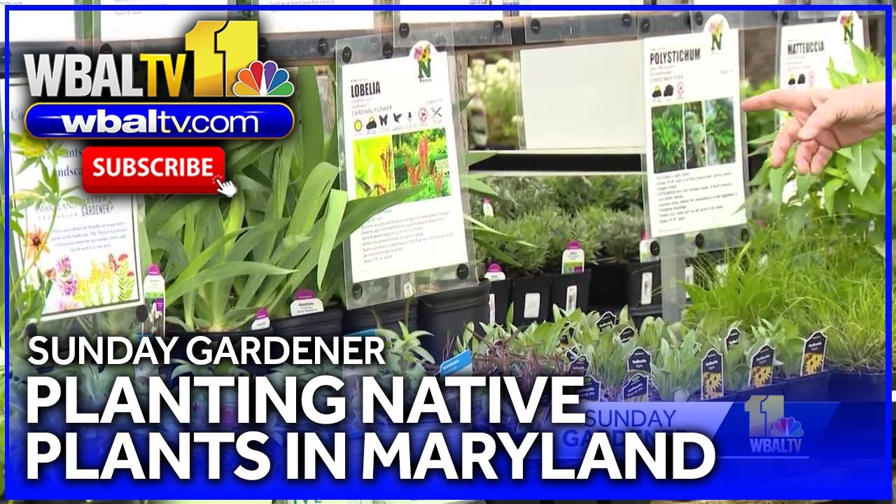 An introduction to native plants at Valley View Farms